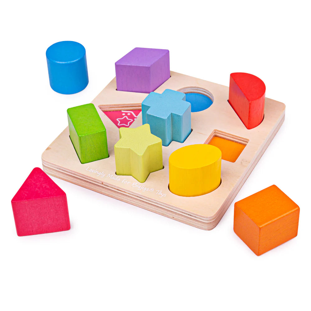 First Shape Sorter — Thinking Toys