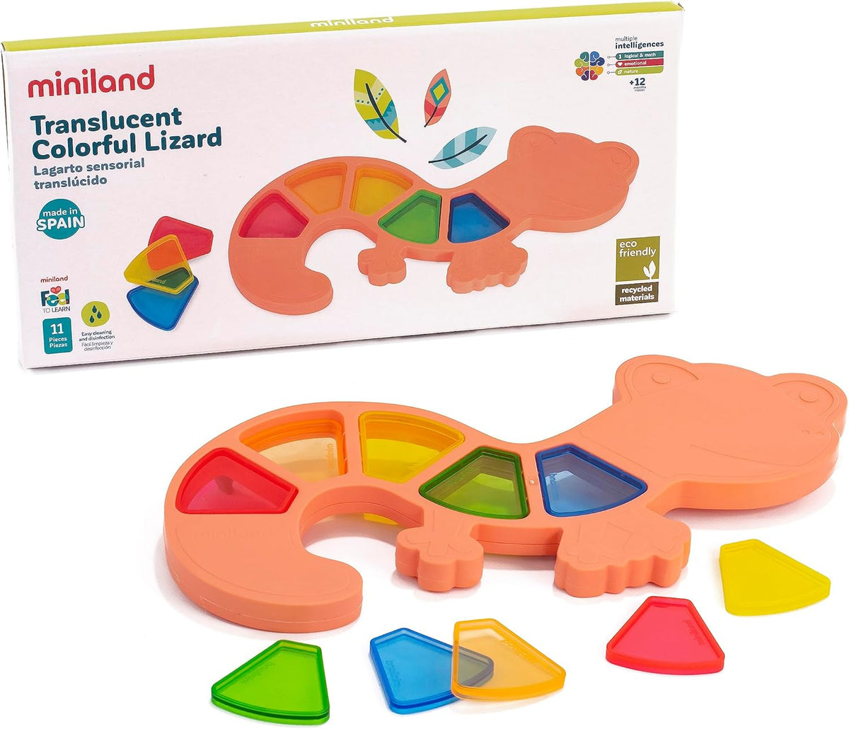 Feel to Learn: Translucent Colorful Lizard - Available End March ...