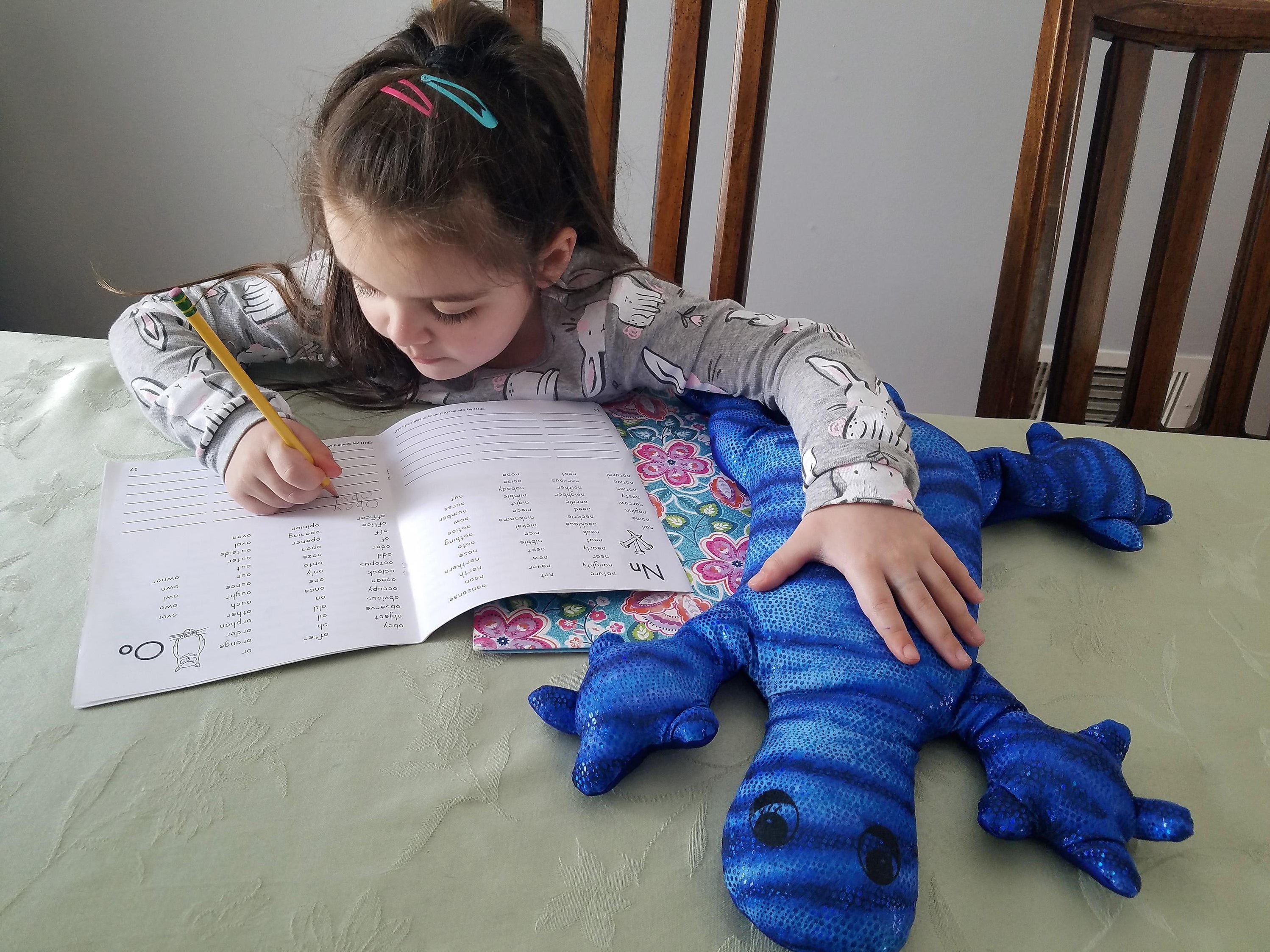 Weighted Lizard - Blue - 2kg - Manimo - Available Early October ...